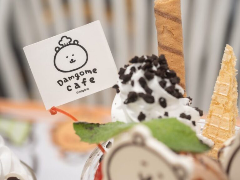 [ナガノのくま] 韓国で愛されるくま！ 담곰이 카페（damgomeカフェ）の様子をご紹介 - 君に逢えてフォカッチャ