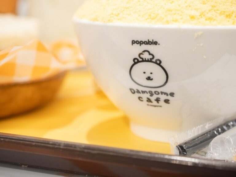 [ナガノのくま] 韓国で愛されるくま！ 담곰이 카페（damgomeカフェ）の様子をご紹介 - 君に逢えてフォカッチャ